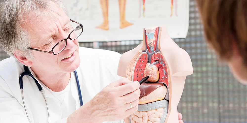 What Makes a Good Doctor? 7 Useful Physician Skills | SGU