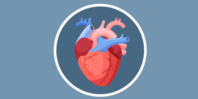 What Is Heart Disease? Heart Health Problems Explained