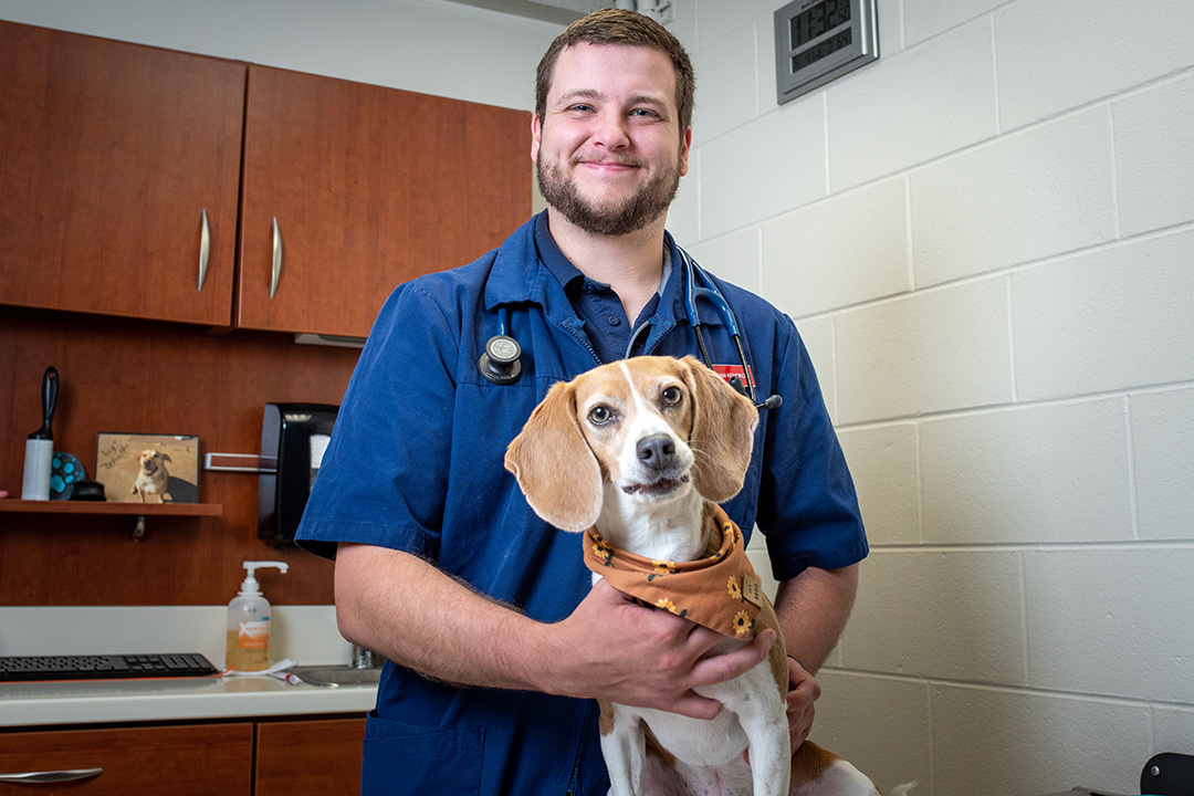 5-Year DVM Track | School of Veterinary Medicine - St. George’s University