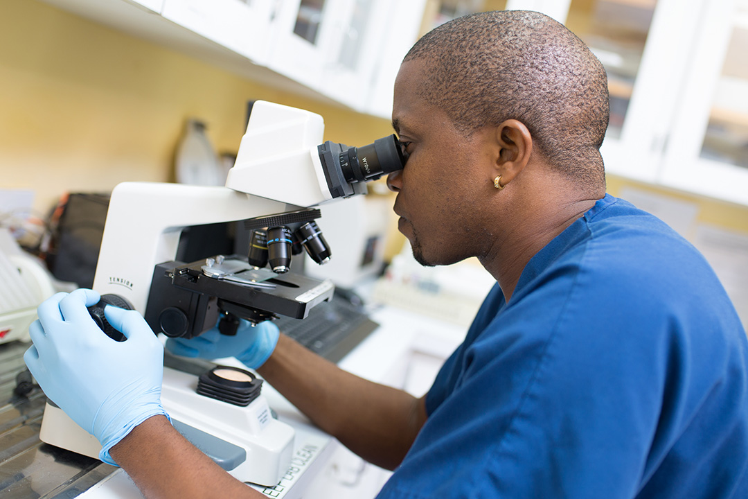Veterinary Science PhD Program | SGU Animal Health Research Degree