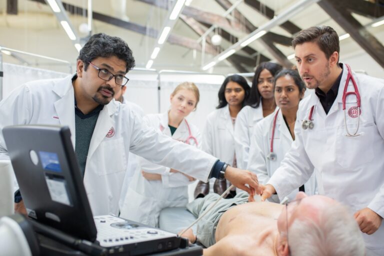 SGU Brand Guidelines | Logos, Colors, Typography & More